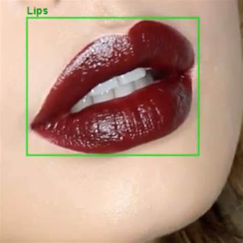 Makeup Pixel Perfect Lips Segmentation Kaggle