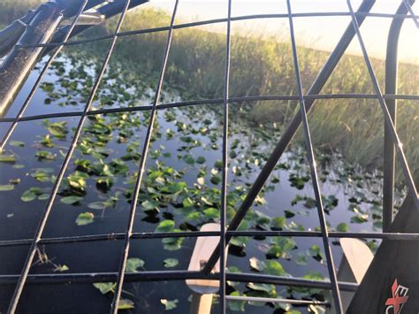 Miami Beach Everglades Airboat Tours