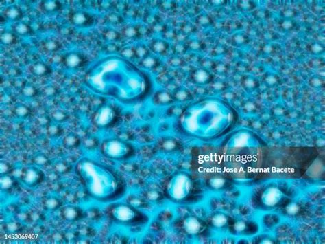 Ice Molecule Photos And Premium High Res Pictures Getty Images
