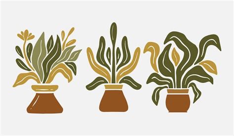 premium vector botanical plant flower monoline line art line drawing