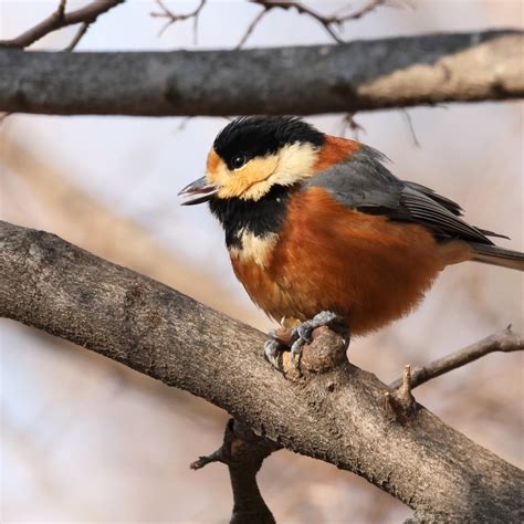 서울어린이대공원 공식계정 오늘의 원 공원 곳곳에 숨어있는 포토존을 소개합니다📸 놀이동산 Teddy Isiand 놀이동산 패밀리코스타 앞에 있는 귀여운 하트 테디베어와