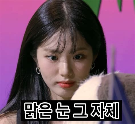 이거 되게 디씨 같다 연예인잡담 에펨코리아