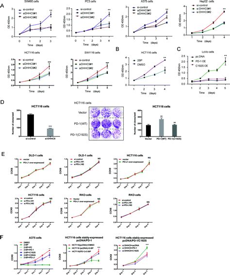 A Peptidic Inhibitor For Pd 1 Palmitoylation Targets Its Expression And