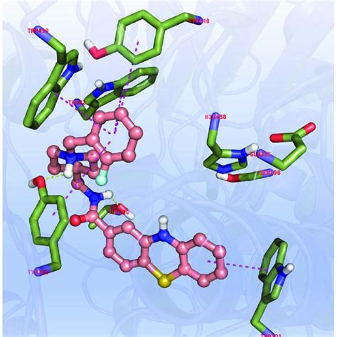 Binding Mode For 11d To The Bche Active Site In The Interaction