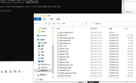 why do dynamic libraries have to be stored in a directory called bin