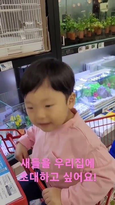 할머니 집이 우리집이고 그런거지 Youtube