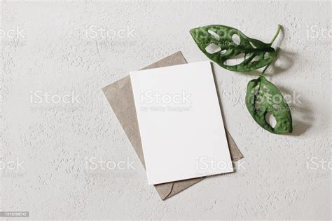 여름 웨딩 문구 모형 장면 빈 인사말 카드 공예 봉투와 두 개의 작은 녹색 몬스터 식물 잎 초대 흰색 텍스처 배경 플랫 레이