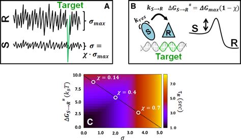 A Schematic Representation Of The Presented Model For A Dbp Finding And Download Scientific