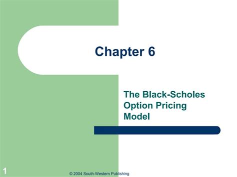 Black Scholes Modelpdf