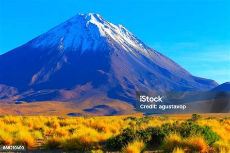 Licancabur 눈 덮인 화산과 목가적인 아타 카마 사막 Altiplano 대초원에 골드 색 화산 풍경 파노라마산 페드로 데