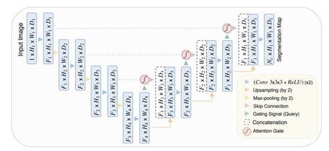 Attention Unet In Pytorch Idiot Developer