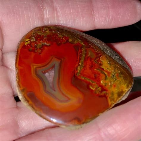 I Lick Rocks Sticker Funny Rock Stickers Agate Dad Etsy