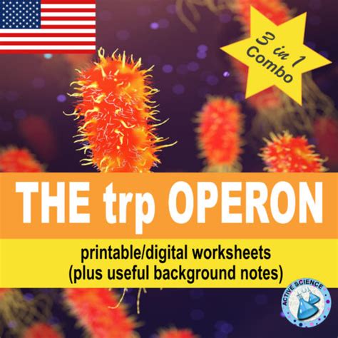 The Trp Operon Gene Regulation In Bacteria Us Edition Made By Teachers