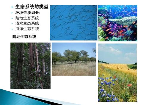 农业生态与环境保 word文档在线阅读与下载 无忧文档