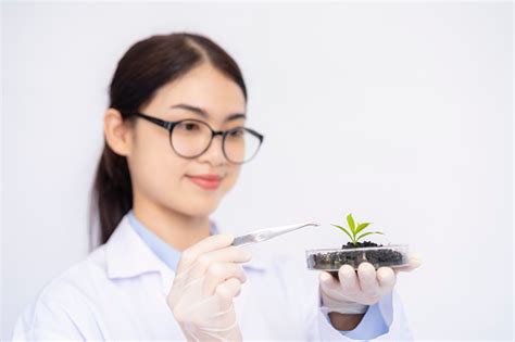 과학 생물학 생태학 연구 개념 하얀 배경 위에 식물과 토양 샘플이 있는 페트리 접시를 들고 있는 젊은 여성 과학자 25 29세에 대한 스톡 사진 및 기타 이미지 Istock