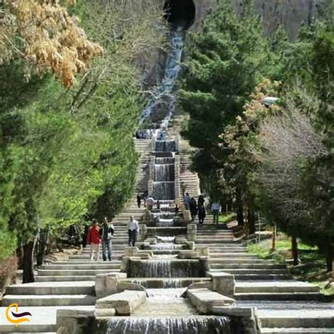 پارک جنگلی پردیسان قائم کرمان نبرد زیبای بیابان و درخت ره بال آسمان