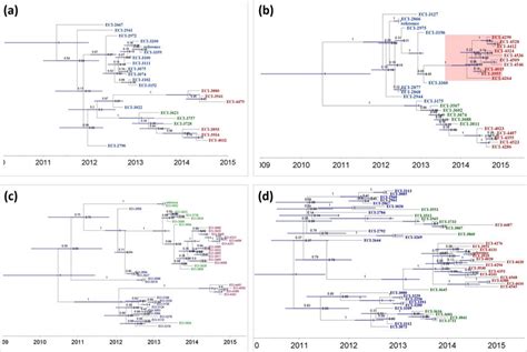 Bayesian Inference Of Time Scaled Phylogenies A O6h34 B O22h8