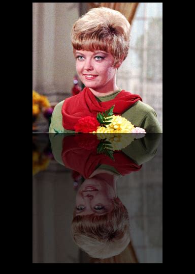 How To Create A Simple Reflection Using Imagemagick With Dynamic Image