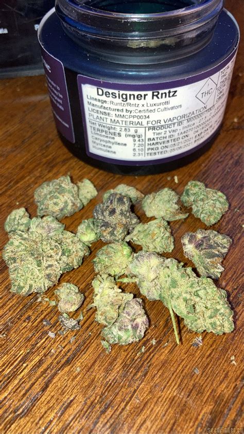 Designer Runtz Exotic Genetix Cannabis Strain Info
