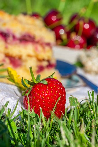 잘 익은 빨간 딸기의 세부 세로 사진입니다 과일 체리 케이크의 두 부분으로 정원에서 흰 수건에 배치 됩니다 다음 체리 그릇에 배경에 배치 됩니다 0명에 대한 스톡 사진 및