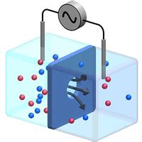 Physical Review Fluids Recent Articles