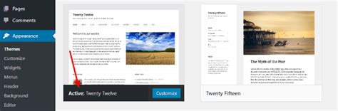 How To Install Wordpress Theme Step By Step Guide