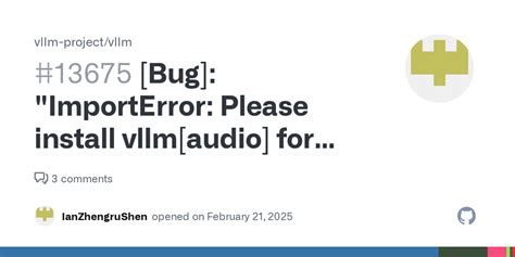 Bug Importerror Please Install Vllm Audio For Audio Support