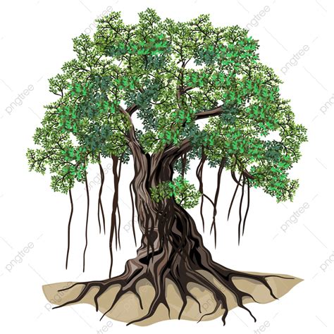 Banyan Tree Vector Illustrations Hand Drawn Art Banyan Tree Roots