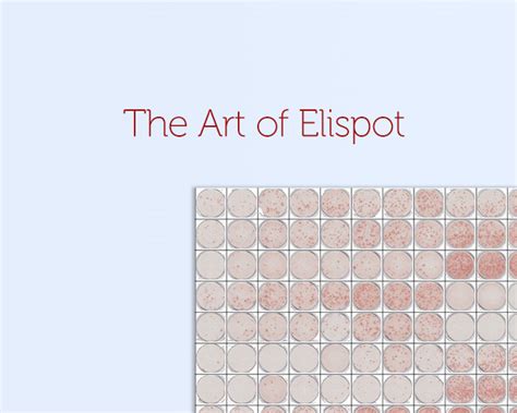Expert Elispot Service Home
