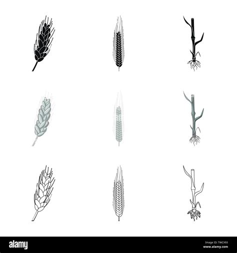 Vector Vectors Stock Vector Image And Art Alamy