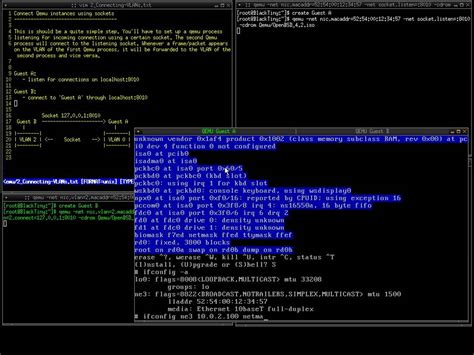 Qemu Networking Connecting Vlans Avi Youtube