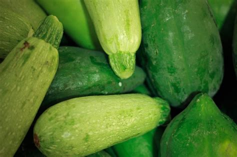 Городники розповіли як чай може збільшити врожай кабачків вдвічі Читайте на Ukr Net