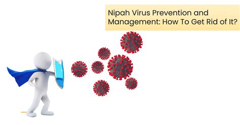 Nipah Virus Prevention And Management How To Get Rid Of It