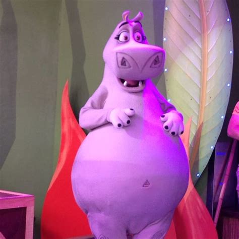 Gloria The Hippo Belly