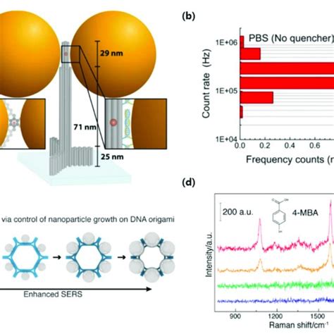 A Sketch Of The Dna Origami Pillar Gray Employed To Build The Download Scientific Diagram