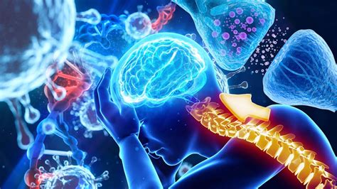 Hz Alpha Waves Heal The Whole Body Harmonizing Body Mind And Soul Holistic Healing