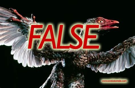 Archaeoraptor Evolution Tale