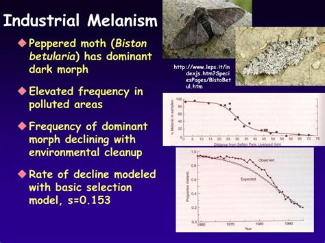 Ppt Lecture 8 Selection In Real Populations Powerpoint Presentation Id 4741443
