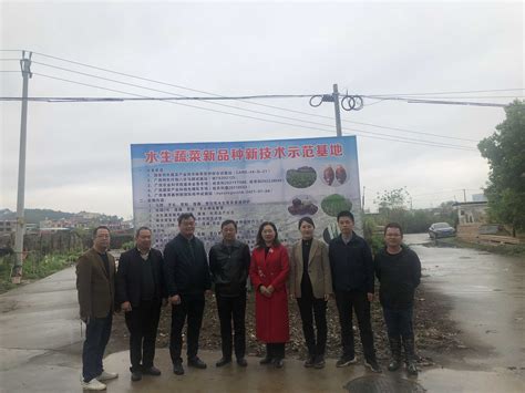 国家特色蔬菜产业技术体系专家到贺州调研指导贺州广西壮族自治区农业农村厅