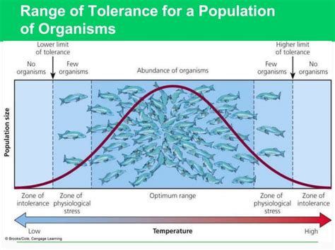 Ekosistem Limiting Factors Ppt Environment Science