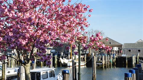 🔥 Free Download Nantucket Island Travel Guide Ma By Justintorres
