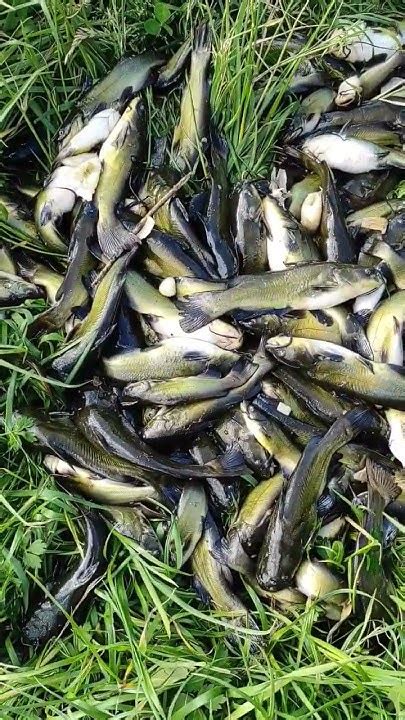 Супер 🔥 Игра 📸 Конкурс Викторина Вопрос Загадка Знатокам 😳🥇 Юмор и Смех 🍉 Радости Жизни Любви