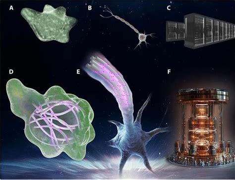 computational capacity of life in relation to the universe lifeboat