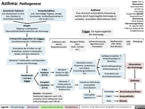 Asthma Pathogenese Calgary Guidecalgary Guide