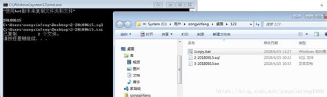 Windows脚本之copy按照日期命名的文件windows Copy 命令 文件名含日期 Csdn博客