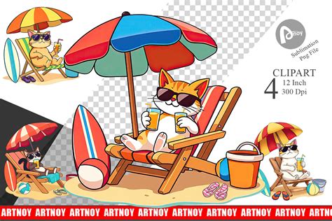 Summer Cat Clipart Graphic By Artnoy · Creative Fabrica