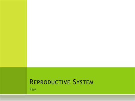 Ppt Reproductive System Powerpoint Presentation Free Download Id