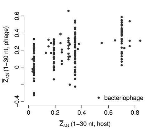 5 In Bacteriophages Versus The Same Quantity In The Associated Host