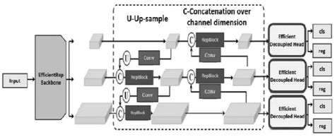 Figure 2 From Enhancing Skin Disease Diagnosis Through Convolutional