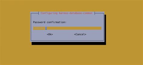 Install Bareos Backup Tool On Ubuntu 20041804 Computingforgeeks